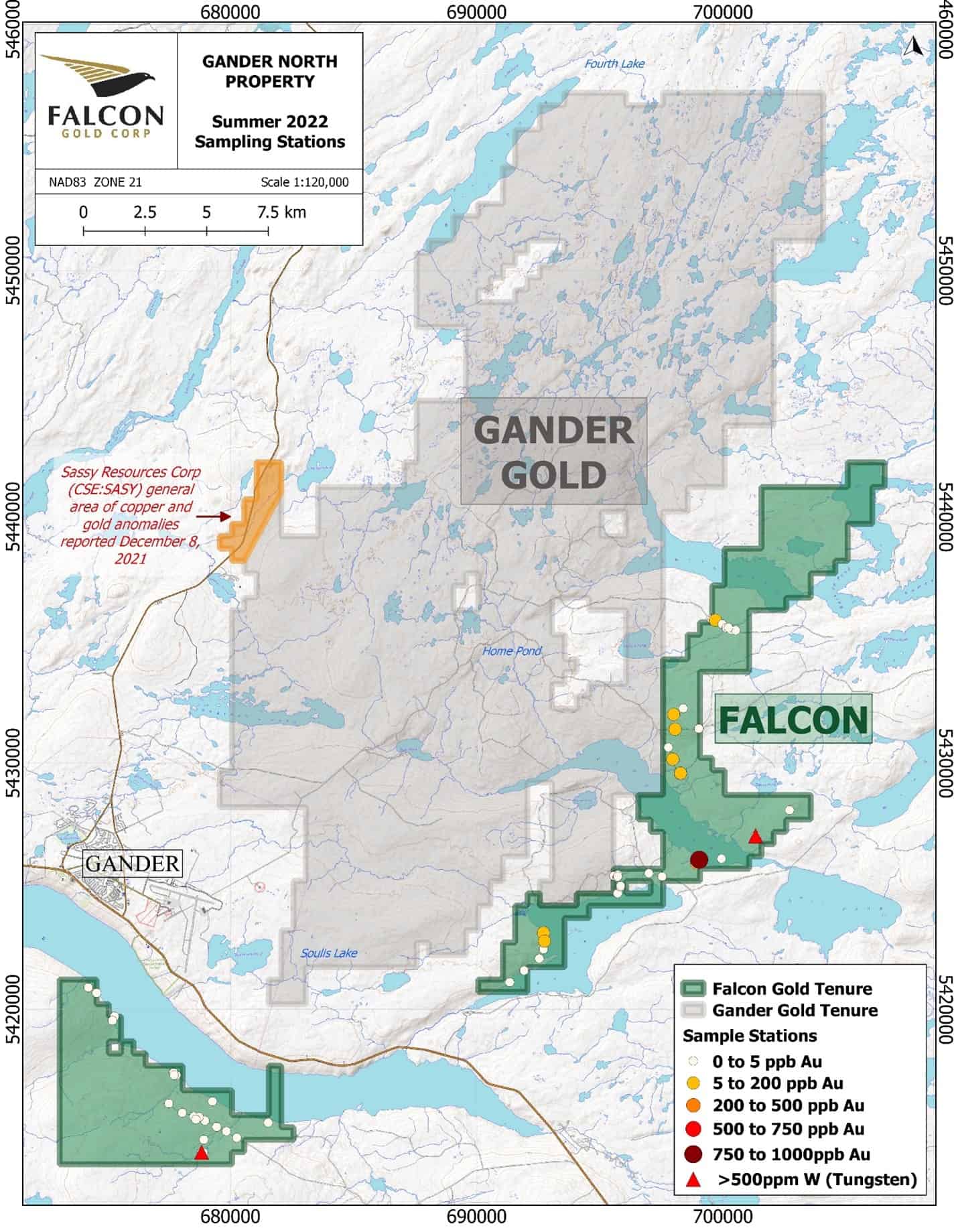 Falcon Announces Initial Surface Sampling Results At Gander North And Filing Of Drill Permit ...