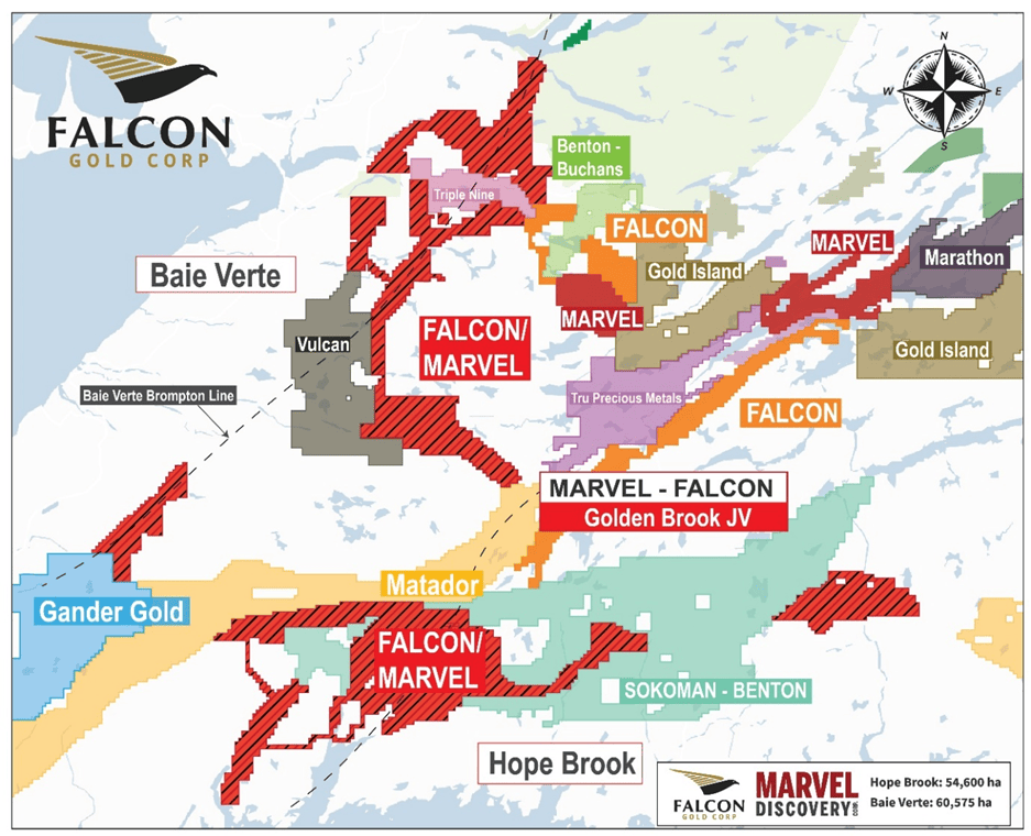 Falcon, Exploration Crews Have Been Expanded to Target Gold Zones at ...